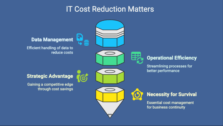 IT Cost Reduction Strategies to Wisely Optimize Your Budget