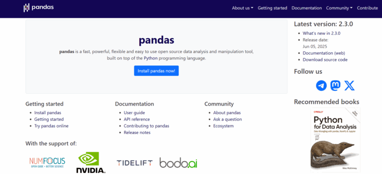 What companies use Python - Examples and Best Python Libraries